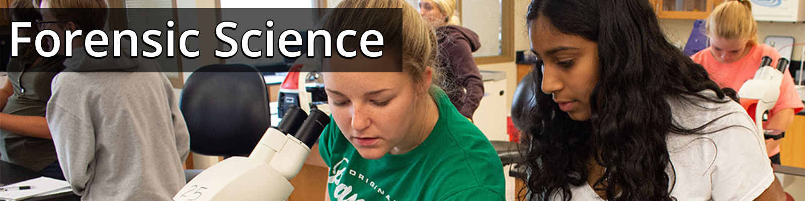 Youth & High School Summer Programs | Point Park University ...